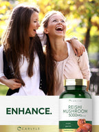 high potency reishi mushroom supplement