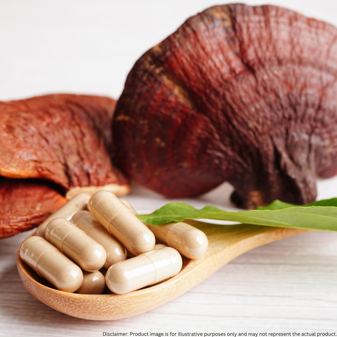 high potency reishi mushrooms for stress management