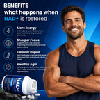 high potency resveratrol capsules Canada