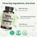 high potency resveratrol capsules