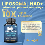 High potency Resveratrol for wellness