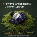 high potency resveratrol supplement