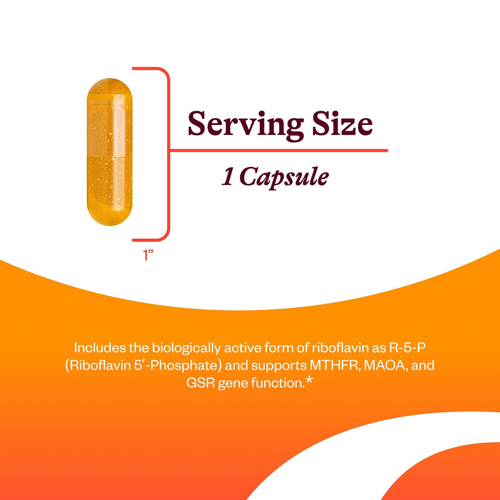 High potency riboflavin supplement