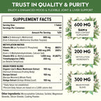 high potency SAM-e multivitamin for men