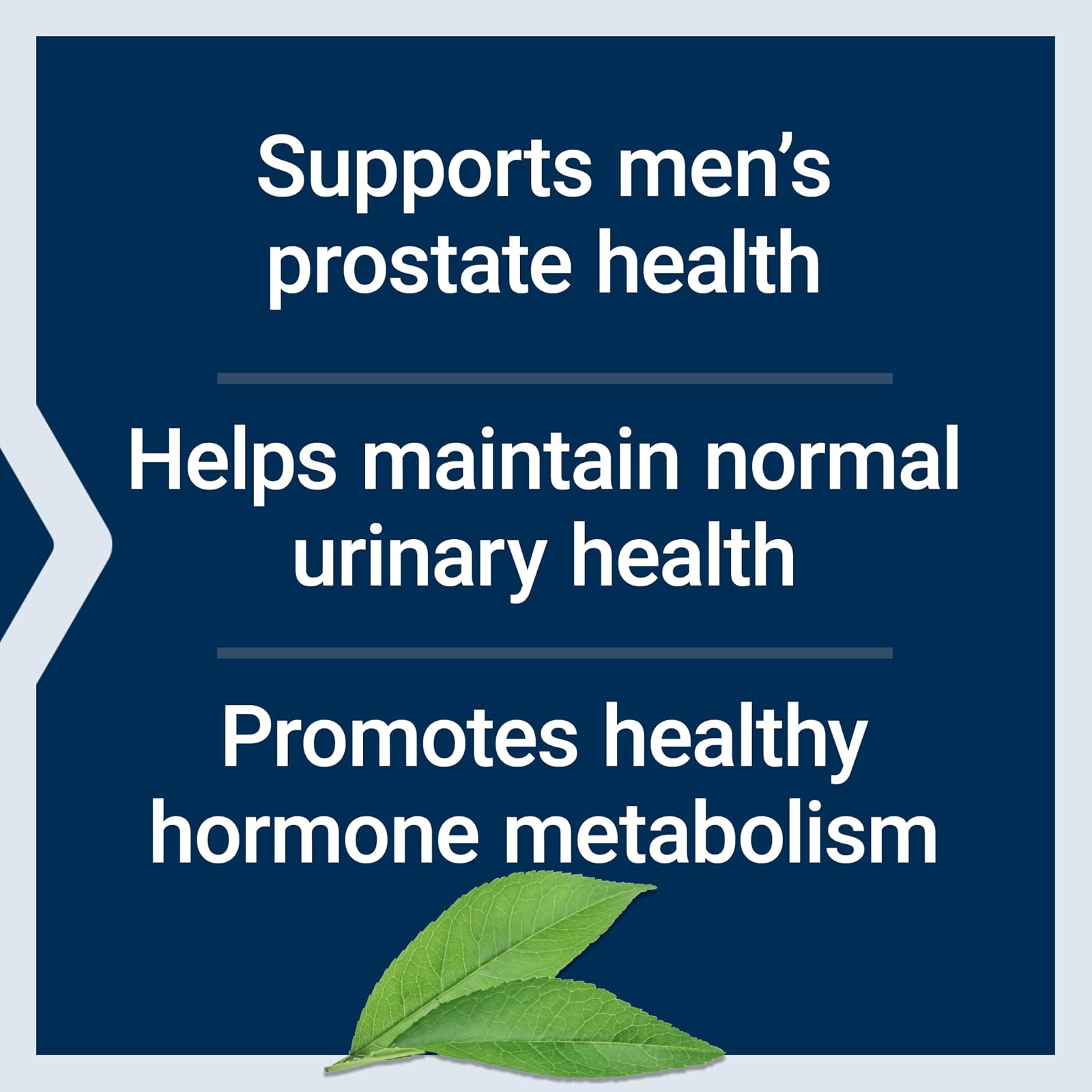 high potency saw palmetto extract