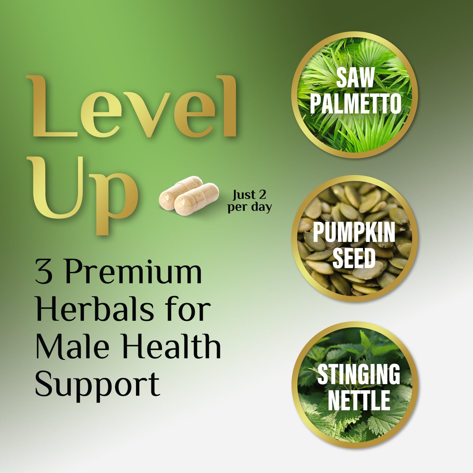 high potency saw palmetto extract