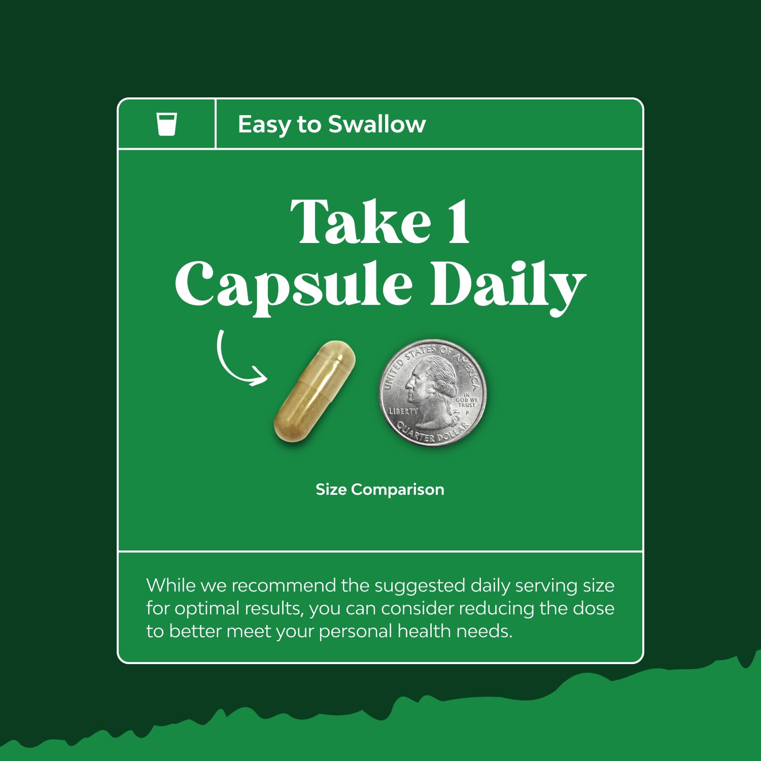 high potency saw palmetto for vitality