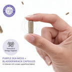 high potency sea moss supplement