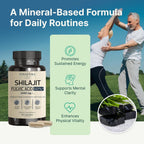 high potency shilajit 1000 mg