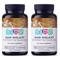 high potency shilajit capsules