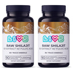high potency shilajit capsules