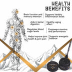 high potency shilajit for energy