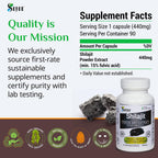 High potency Shilajit supplement