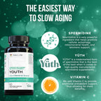 High potency Spermidine 3HCL formula