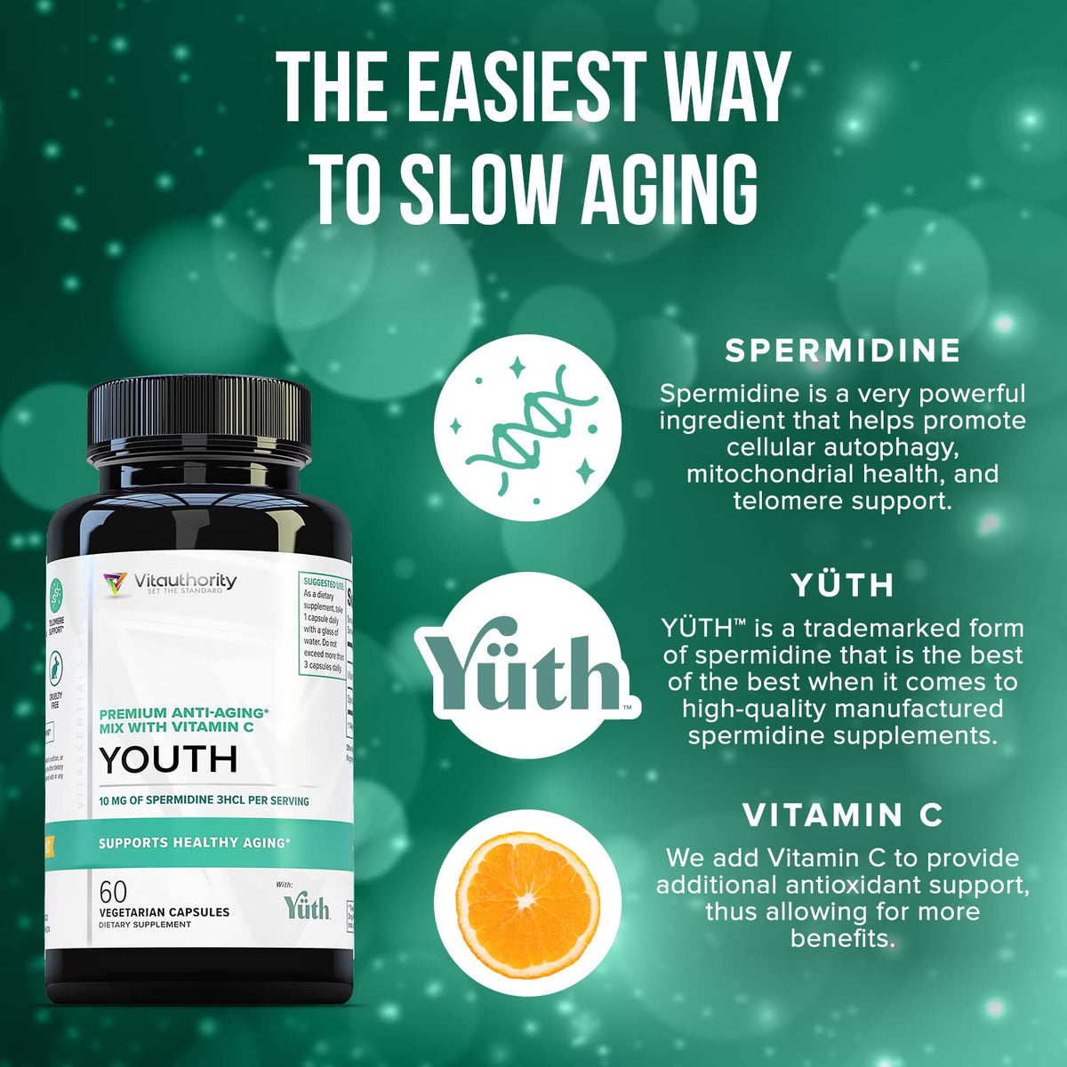 High potency Spermidine 3HCL formula
