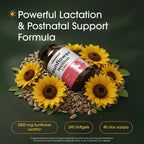 high potency sunflower lecithin capsules