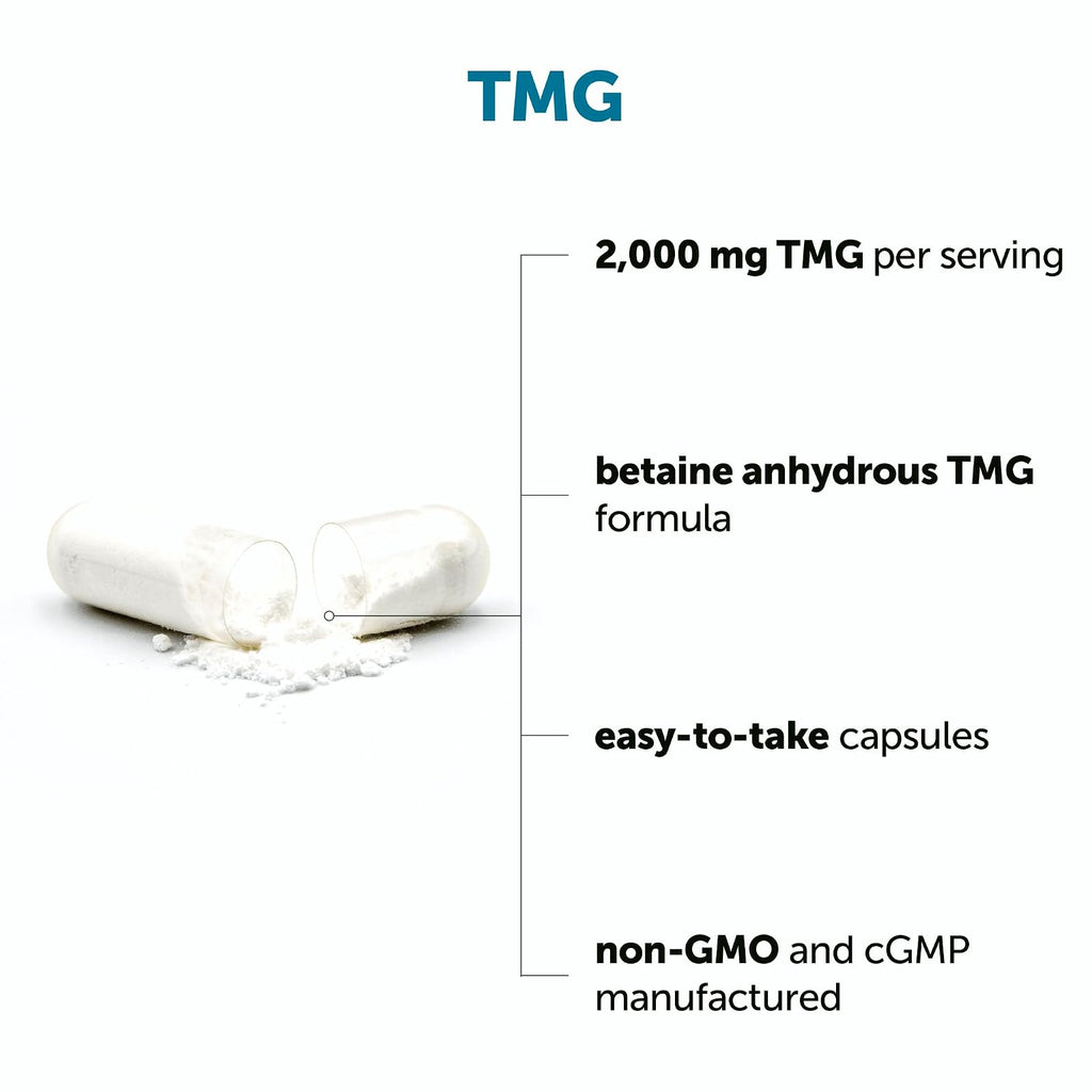 high potency TMG multivitamins for energy