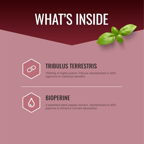 High potency Tribulus Terrestris supplement