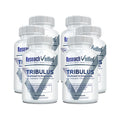 high potency tribulus terrestris supplement