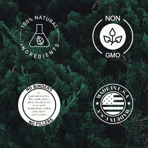 High potency Turkey Tail extract