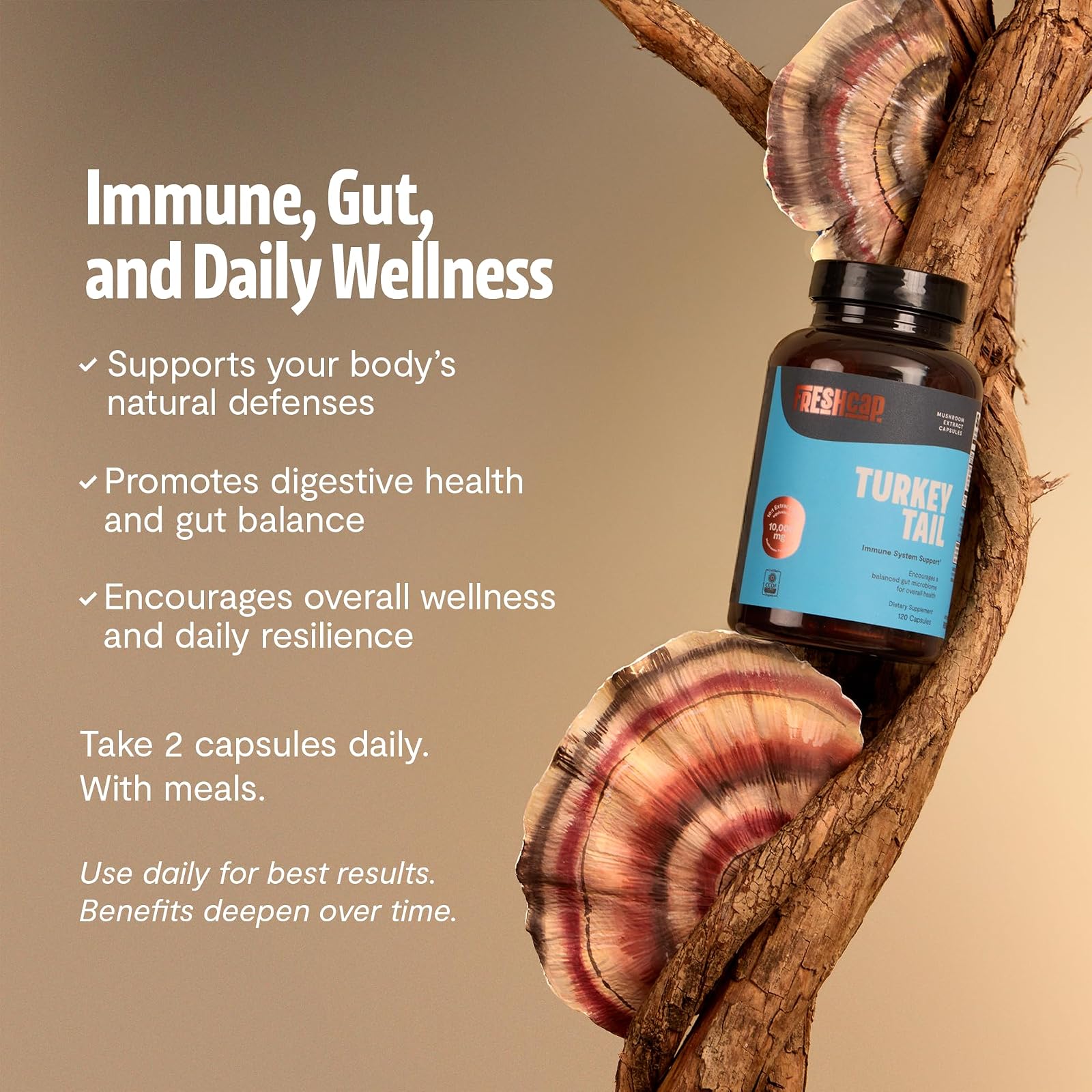 high potency turkey tail extract