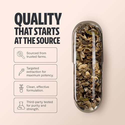 high potency turkey tail supplement