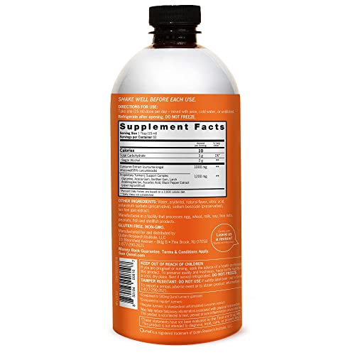 high potency turmeric 1000 mg formula