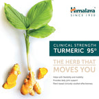 high potency turmeric 95% curcumin