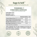 high potency turmeric curcumin 1000 mg