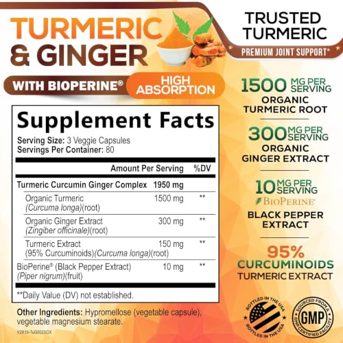 high potency turmeric curcumin 95%