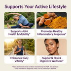 high potency turmeric curcumin capsules