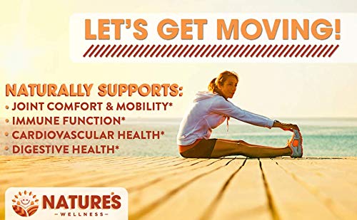 high potency turmeric curcumin capsules