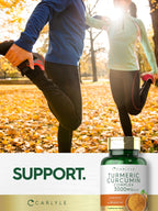 High potency turmeric curcumin capsules