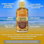High potency turmeric curcumin extract