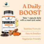 high potency turmeric curcumin extract