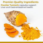 high potency turmeric curcumin extract