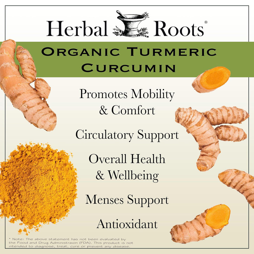 high potency turmeric curcumin extract