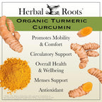 high potency turmeric curcumin extract