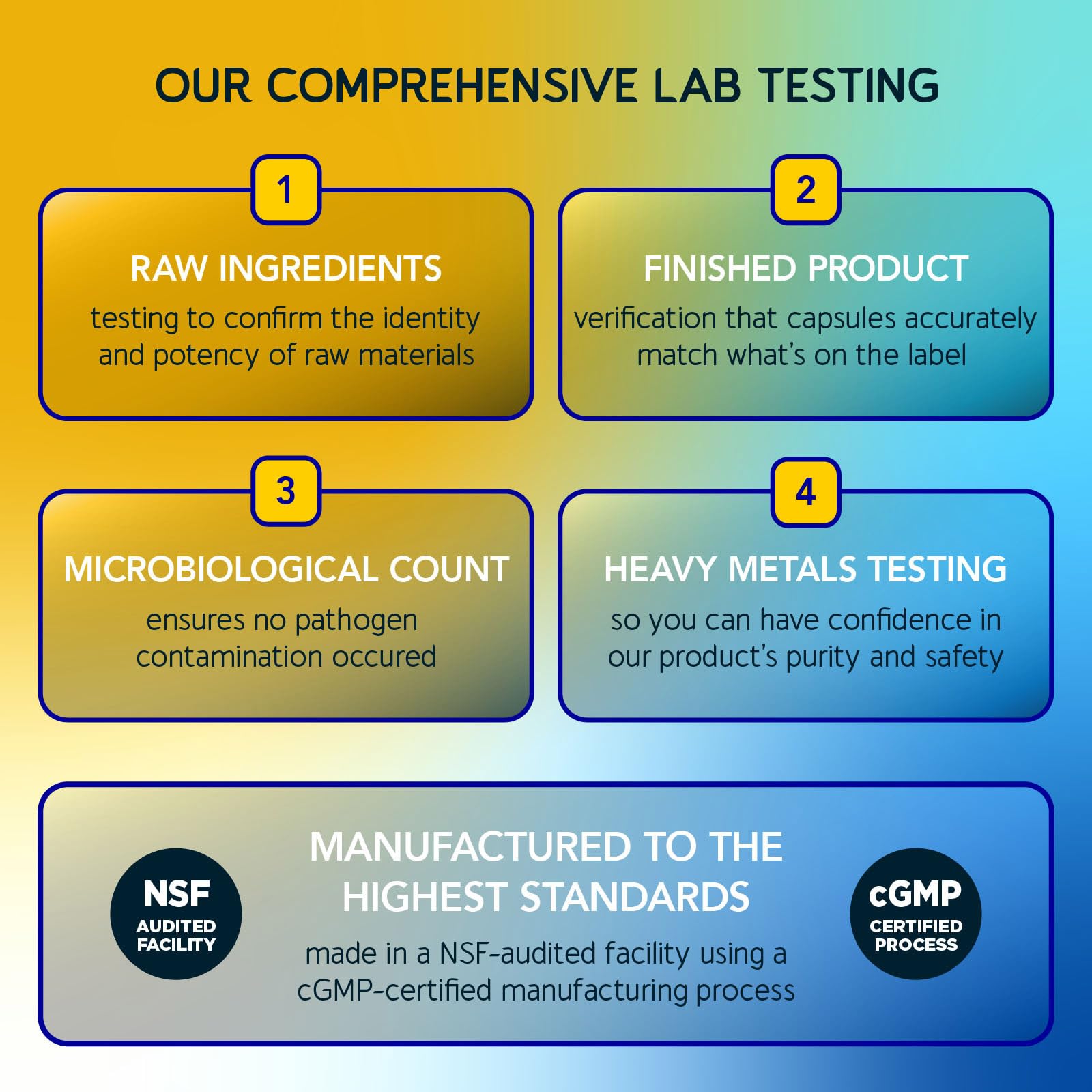 high potency turmeric curcumin for vitality