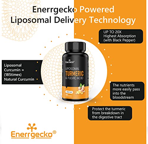 high potency turmeric curcumin formula