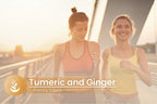High potency turmeric curcumin formula