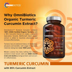high potency turmeric curcumin formula