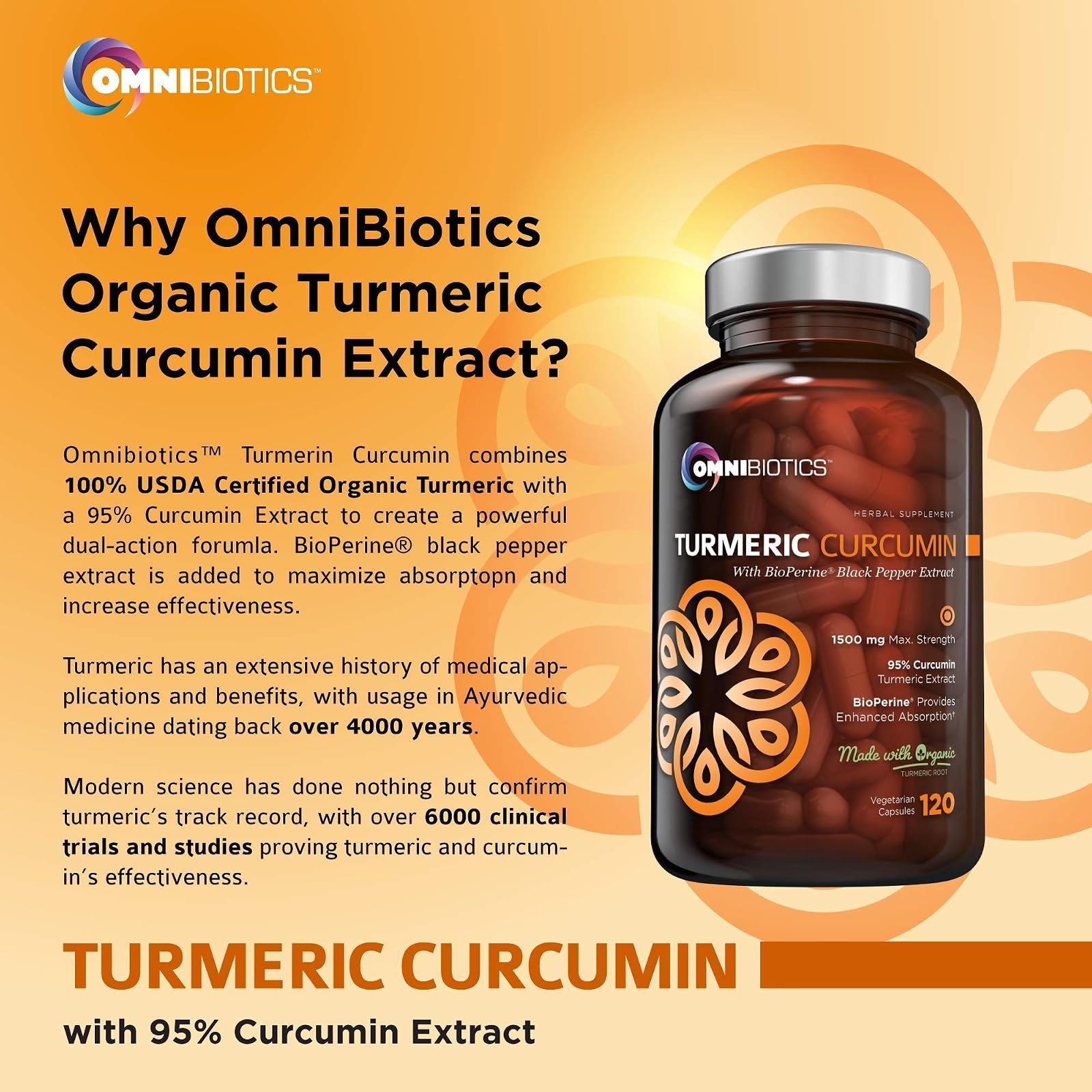 high potency turmeric curcumin formula