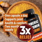 high potency turmeric curcumin formula