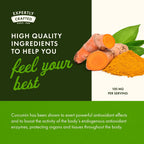 high potency turmeric curcumin formula