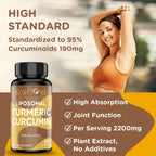high potency turmeric curcumin formula