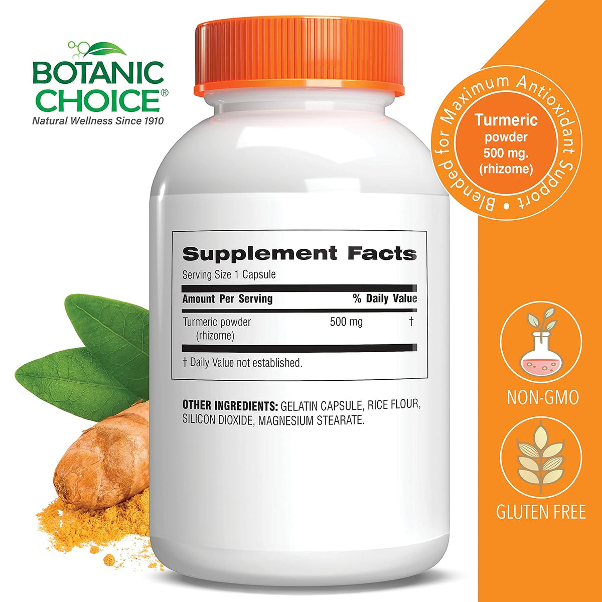 High potency turmeric curcumin supplement