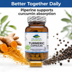 high potency turmeric curcumin supplement