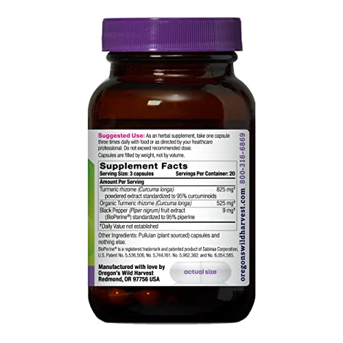 high potency turmeric curcumin supplement