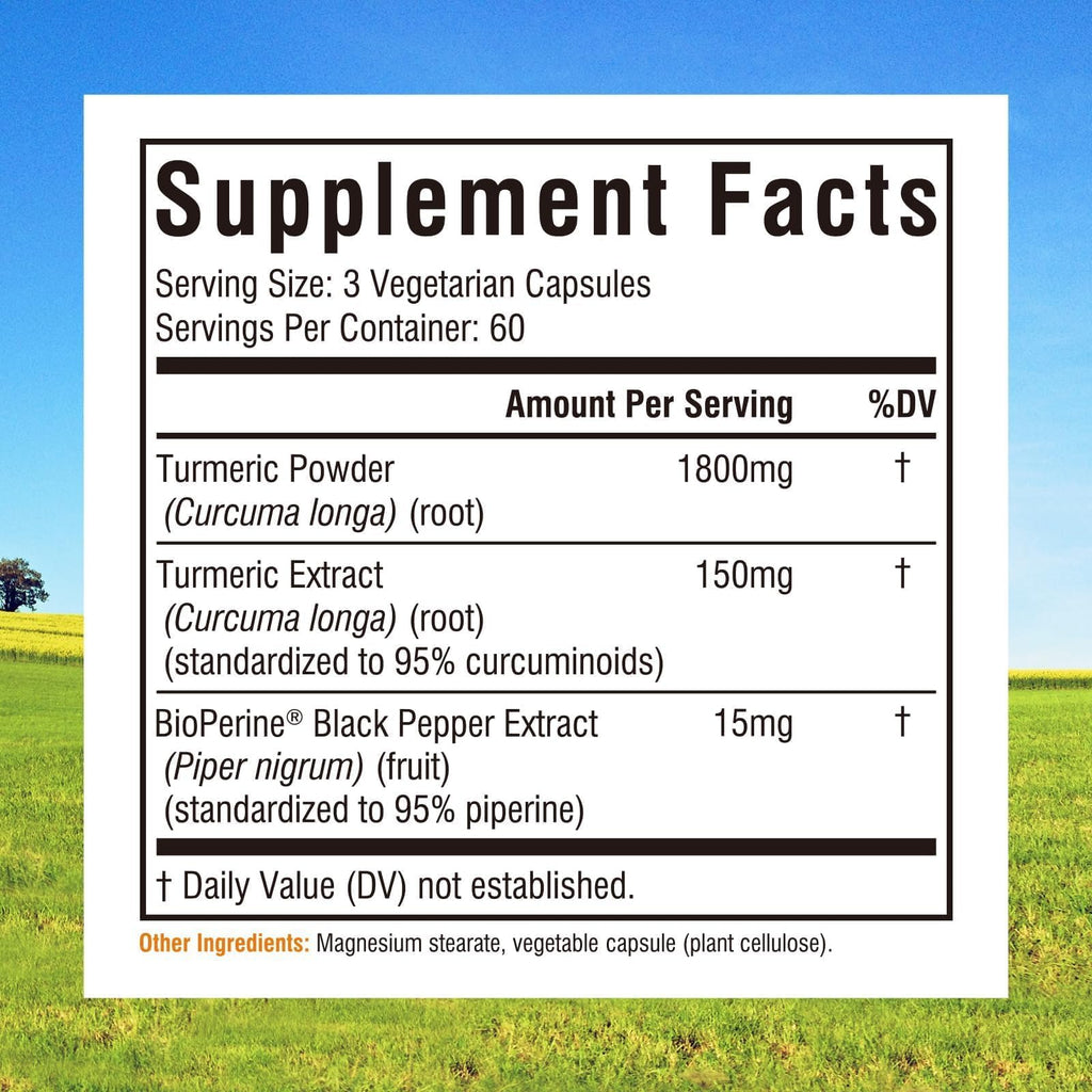 high potency turmeric curcumin supplement